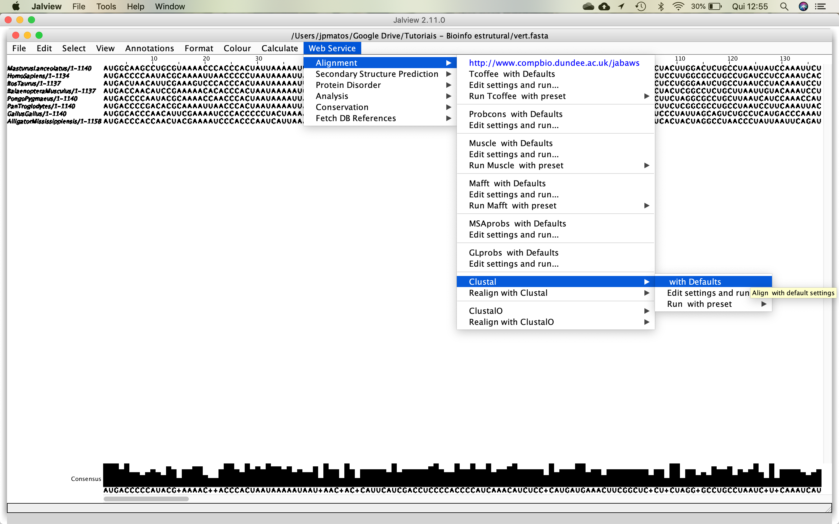 First Tutorial - UChile - Modulo Comparative Genomics