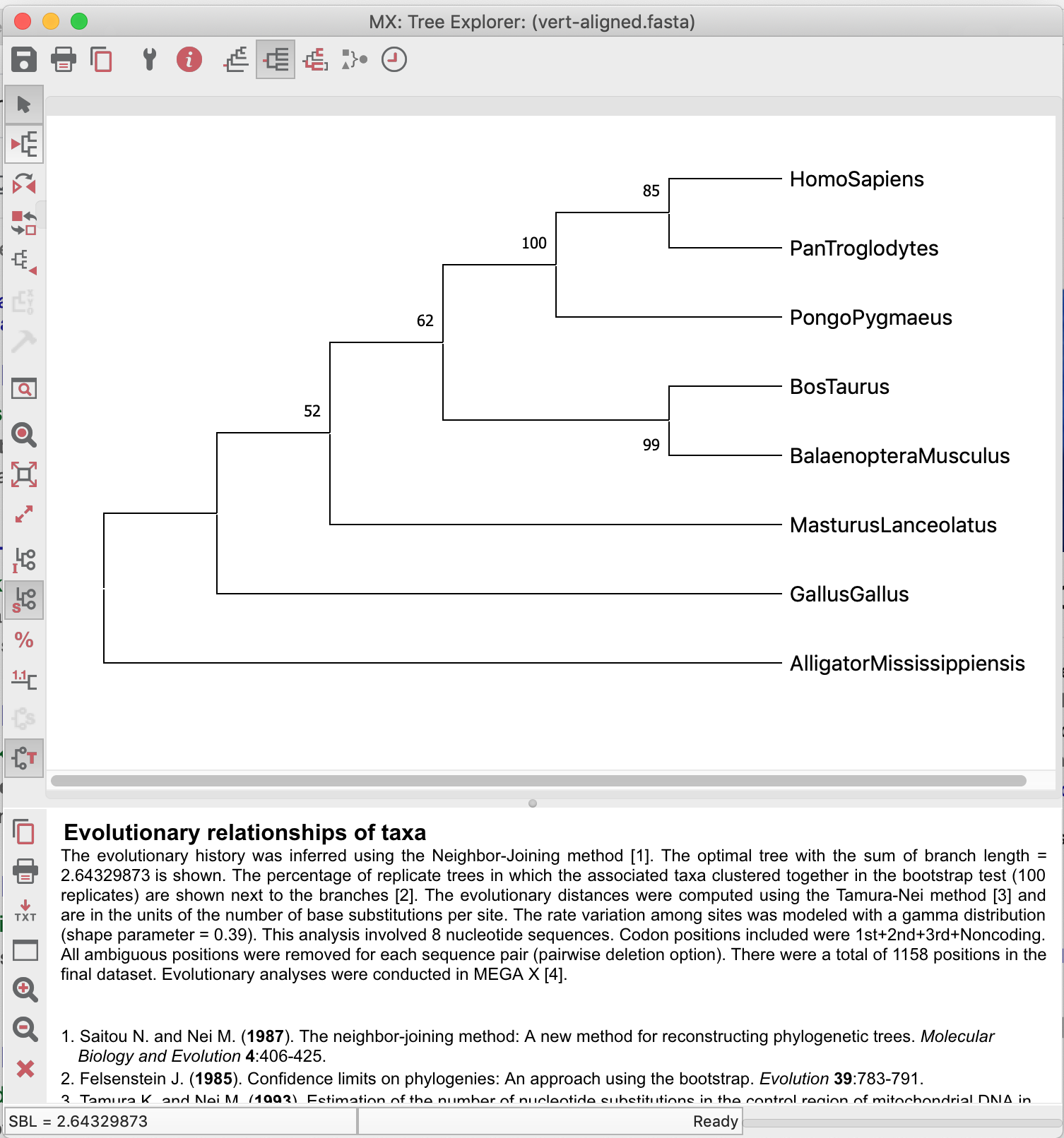 Using MEGAX - UChile - Modulo Comparative Genomics
